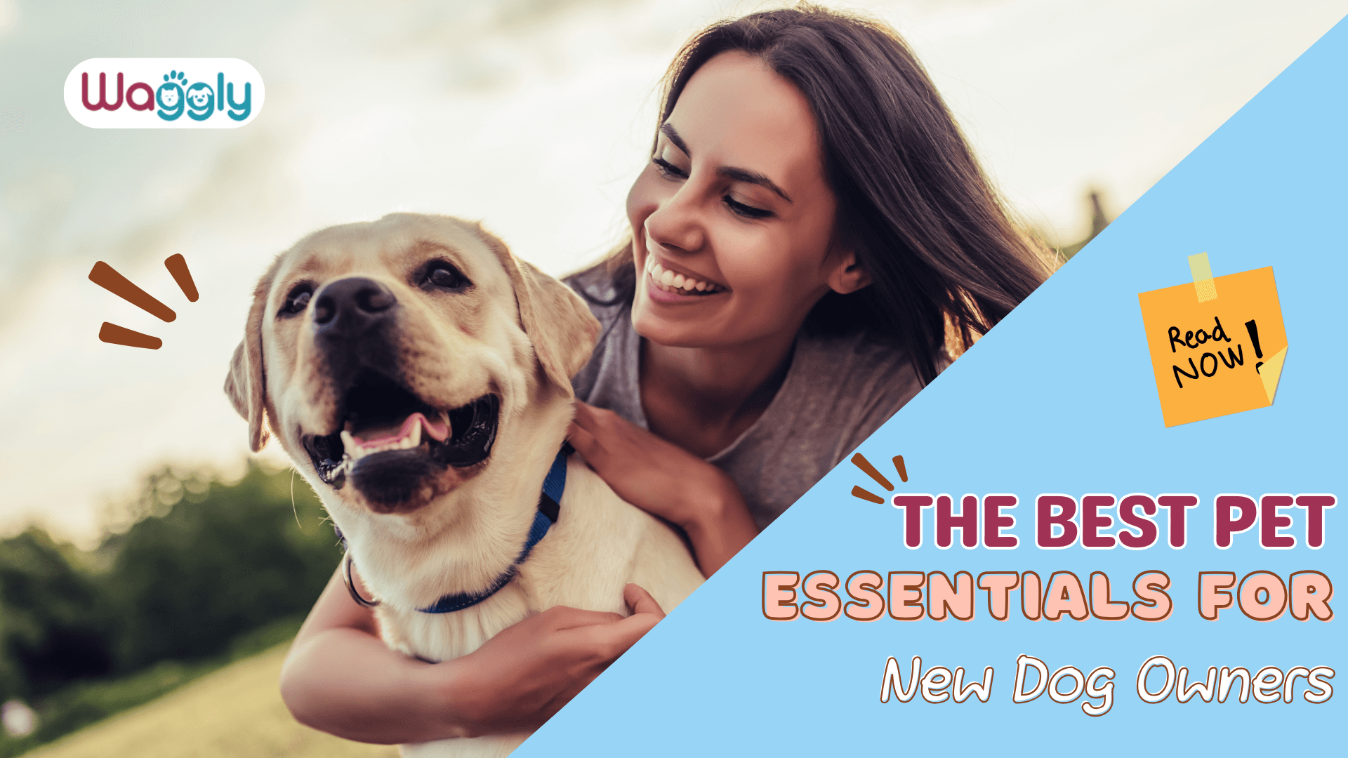 Must-Have Pet Essentials for First-Time Dog Owners – Waggly